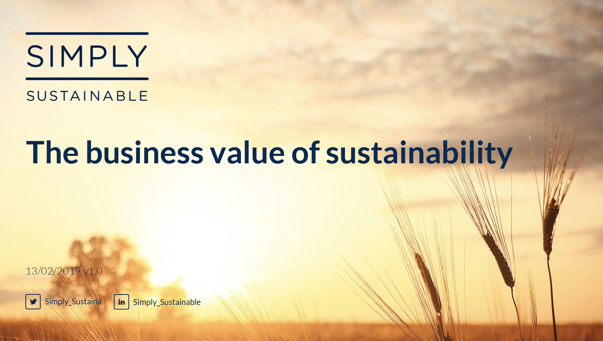 Business Case Report: The Value of Sustainability - Simply Sustainable