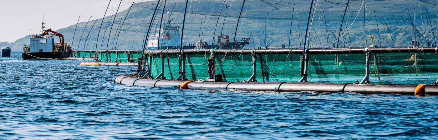 Scottish Sea Farms Materiality Assessment - Simply Sustainable