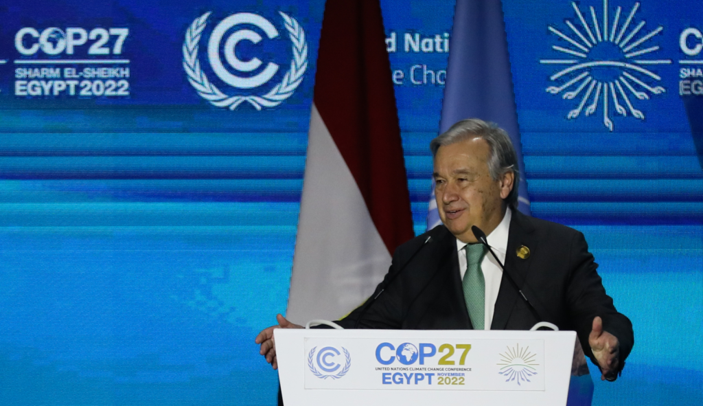 Nicola Stopps - My expectations from COP27 - Simply Sustainable