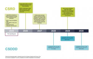 CSRD vs CSDDD: Where is the overlap? - Simply Sustainable