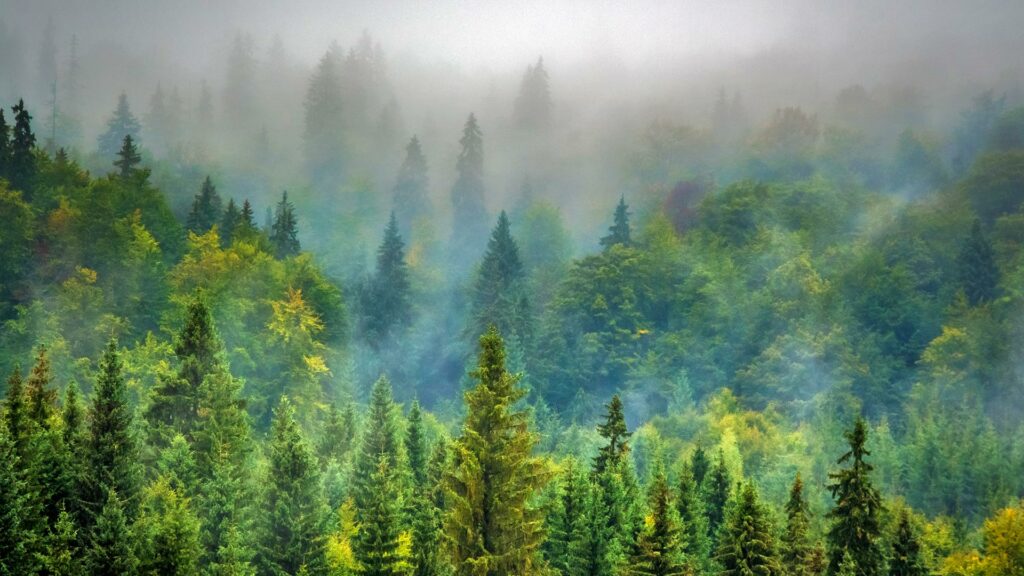 Raising a FLAG for nature - Simply Sustainable