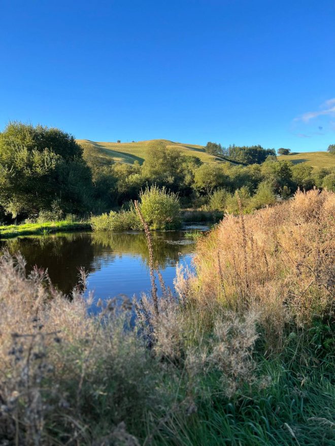 Preparing for UK Sustainability Reporting Standards (SRS) compliance ...