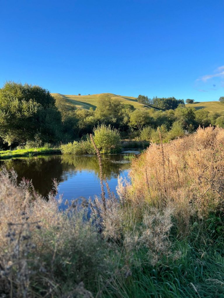 Preparing for UK Sustainability Reporting Standards (SRS) compliance ...